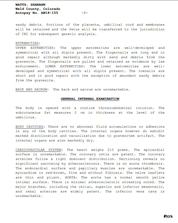 Shan’ann, Bella and Celeste Watts 25 Page Autopsy Report | TRUE CRIME ROCKET SCIENCE